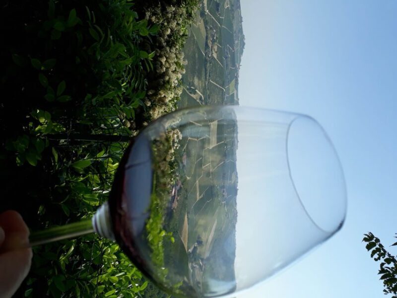 Hiking and wine tour starting from Alba - Is This Tour Right for You?