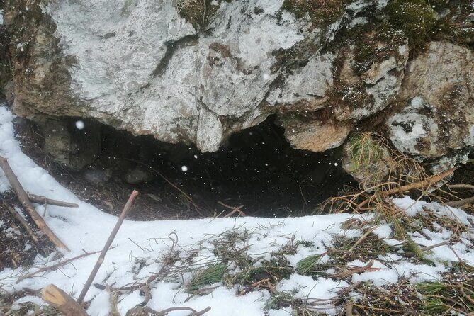 Hiking Bear Watching Tour in High Tatras from Podbanske Slovakia - FAQs