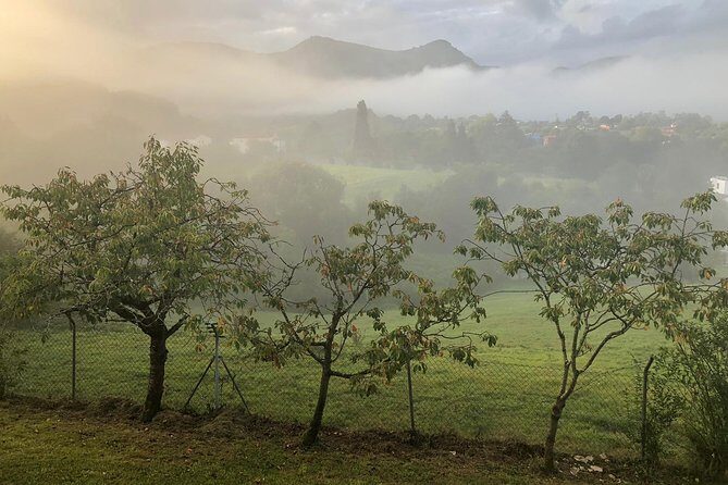 Hiking, eating and relaxing in an 18th century Spa near Oviedo - Introduction to the Experience