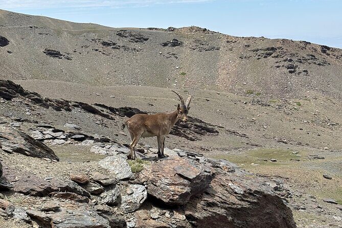Hiking experience in the High Sierra Nevada National Park - An Overview of the Sierra Nevada Hike