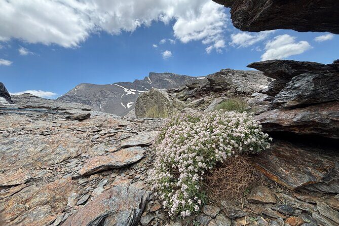 Hiking experience in the High Sierra Nevada National Park - Who Is This Tour Best For?