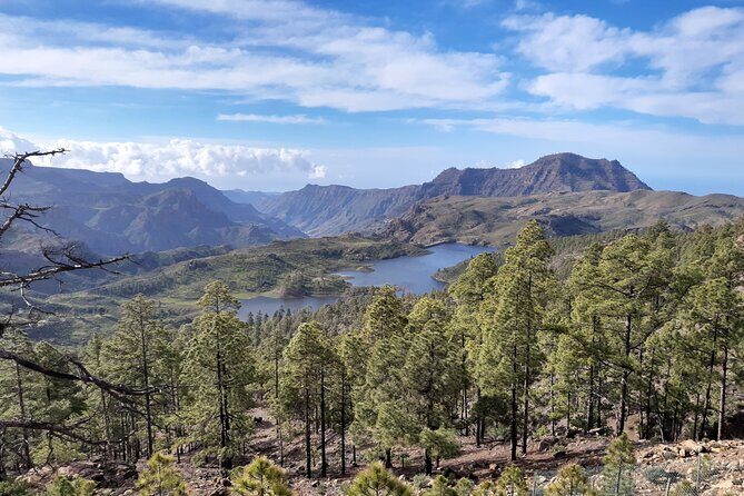 Hiking experience in the north of Gran Canaria - Key Points