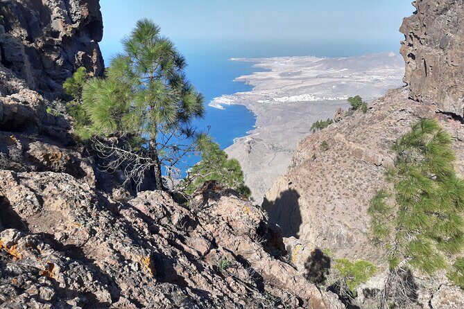 Hiking experience in the north of Gran Canaria - Frequently Asked Questions