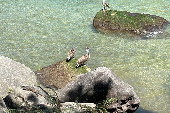 Hiking from Boca de Tomatlan to Playa Las Ánimas - An In-Depth Look at the Hiking Experience