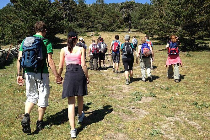 Hiking in Madrid National Park with Transport - The Value of This Experience