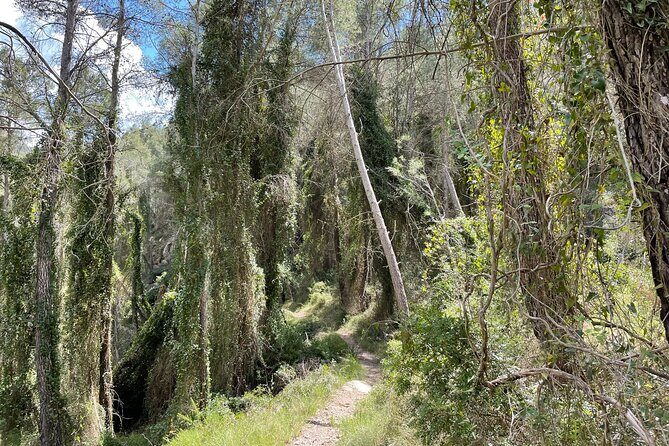 Hiking in Montanejos and swim in Thermal Springs - OFFICIAL GUIDE - Final Thoughts