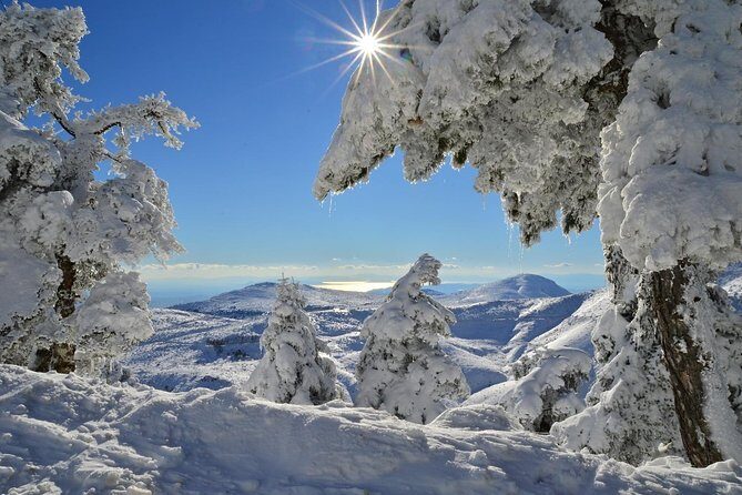 Hiking in Parnitha National Park Overlooking Athens - Key Points