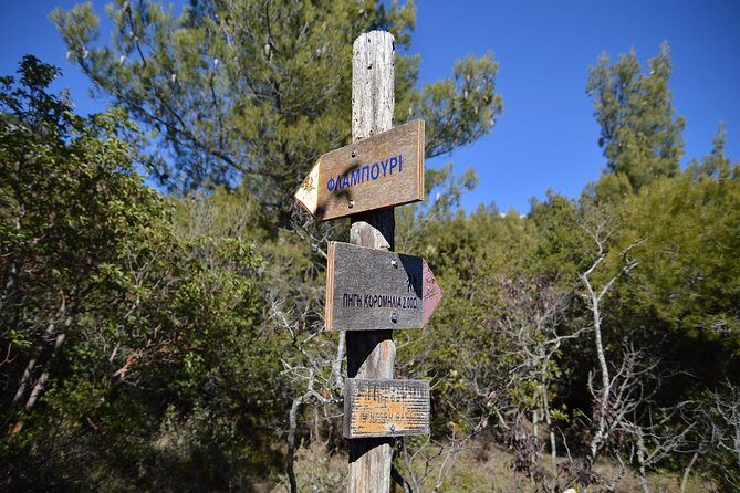 Hiking in Parnitha National Park Overlooking Athens - What Does the Tour Include?