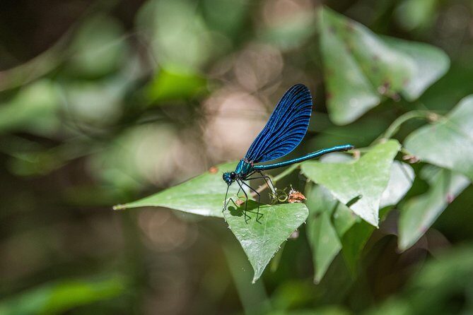 Hiking in Polilimnio Waterfalls - The Practicalities: Booking, Pricing, and Flexibility