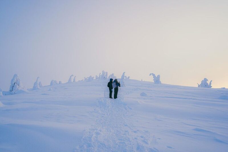 Hiking in Riisitunturi National Park with Photographer - Key Points