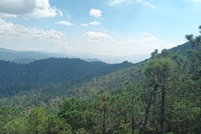 Hiking in Sierra Norte the most spectacular trails in Oaxaca - Practical Tips for Future Travelers