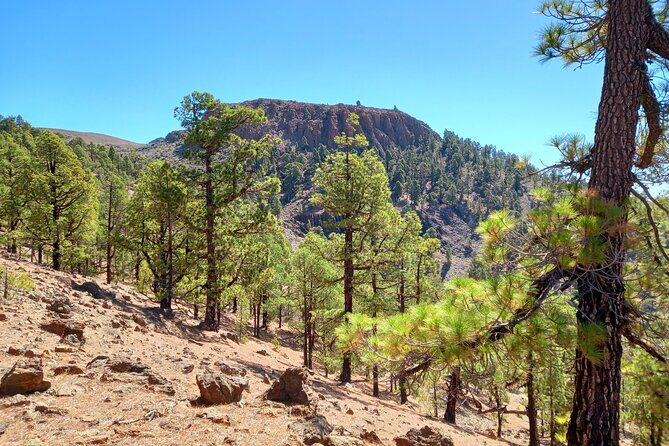 Hiking in Tenerife's Great Outdoors - Who Will Love This Tour?