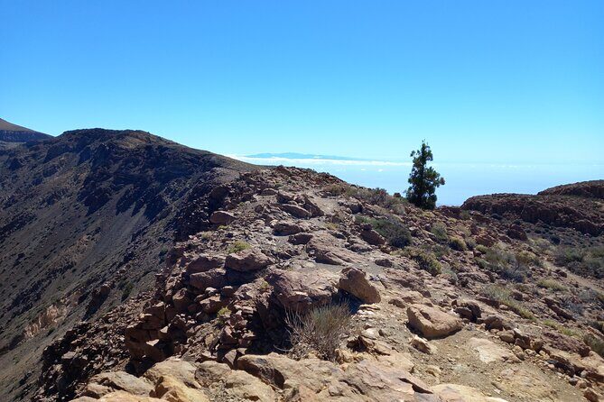 Hiking in Tenerife's Great Outdoors - The Sum Up: Is This Tenerife Hiking Tour Worth It?