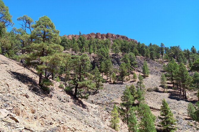 Hiking in Tenerife's Great Outdoors - FAQ
