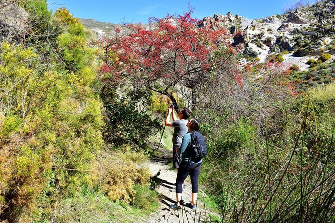 Hiking in the Canyon of the Monachil Cubs in Granada - What Sets This Tour Apart