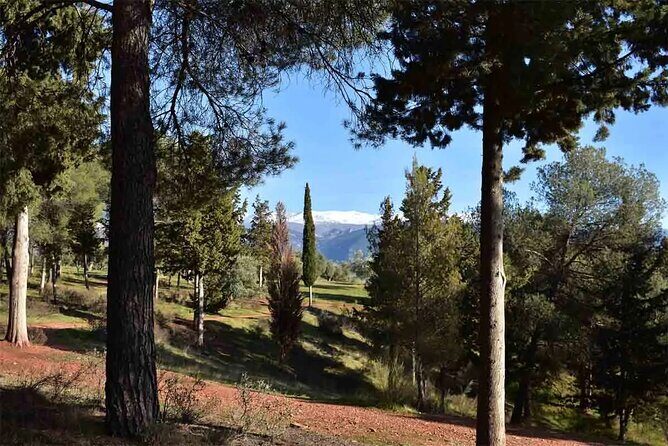Hiking in the natural park on the outskirts of the Alhambra - An In-Depth Look at the Experience