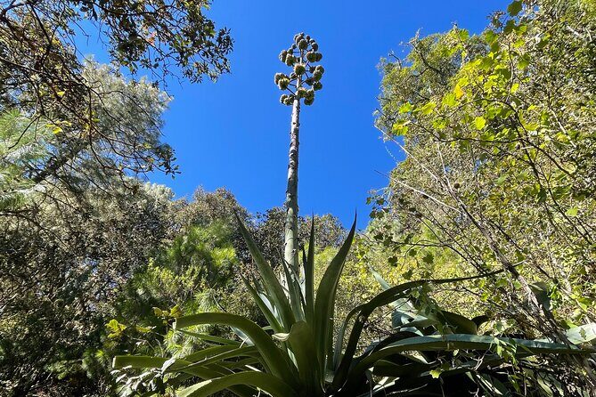 Hiking in the Sierra Norte of Oaxaca - Practical Details