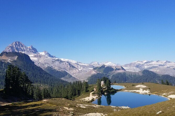 Hiking in the Stunning Garibaldi Park - The Experience: What You Can Expect