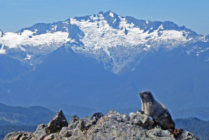 Hiking in the Stunning Garibaldi Park - FAQ