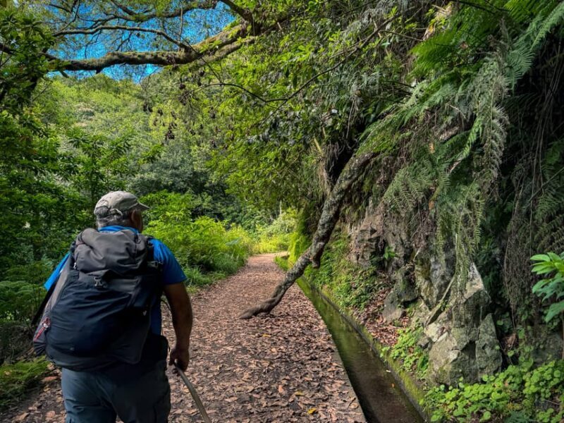 Hiking Madeira: Levada do Rei and the Majestic Laurissilva - Key Points  