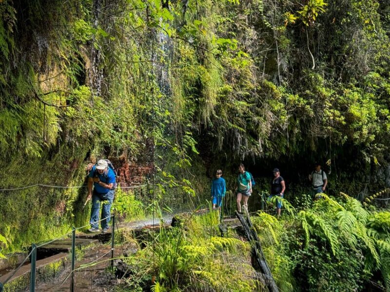 Hiking Madeira: Levada do Rei and the Majestic Laurissilva - Who Should Consider This Tour?