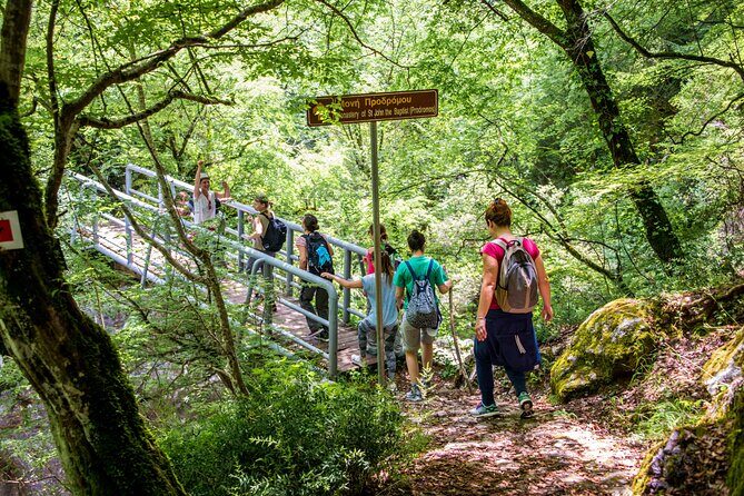 Hiking Menalon & Lousios gorge - An Authentic Greek Adventure: What the Tour Offers