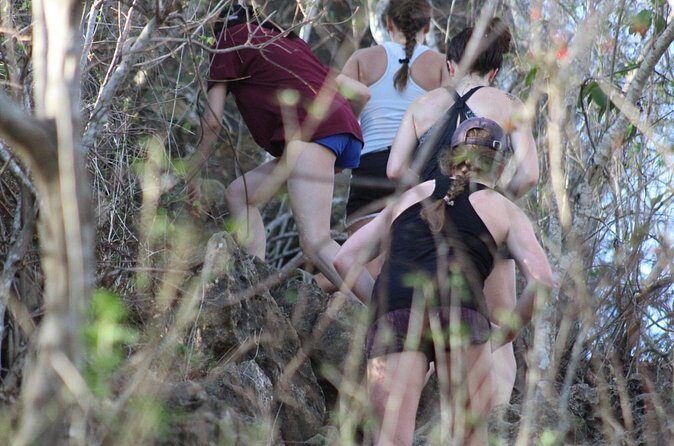 Hiking Monkey Mountain - An In-Depth Look at the Monkey Mountain Hike