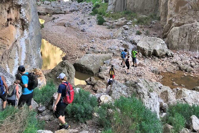 Hiking Private Tour in Pollensa - In-Depth Review of the Mallorca Hiking Experience