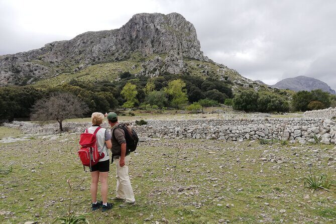 Hiking Private Tour in Pollensa - Final Thoughts