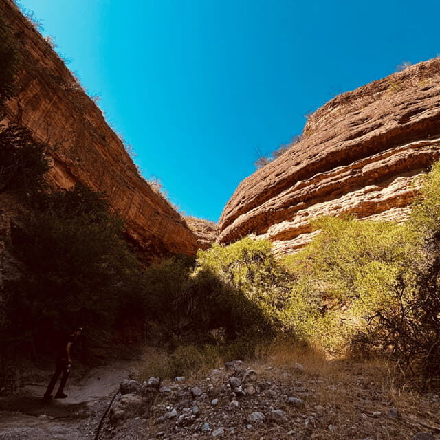 Hiking Ruta del Novillo: explore Sonora's natural surroundings. - An In-Depth Look at the Tour Experience