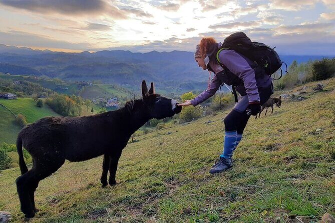 Hiking thought the best mountain villages in Romania-Private tour from Brasov - The Sum Up: Who Is This Tour Best For?