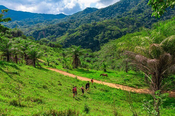 Hiking through the mountains of Puerto Vallarta and glass viewpoint - Who Should Book This Tour?
