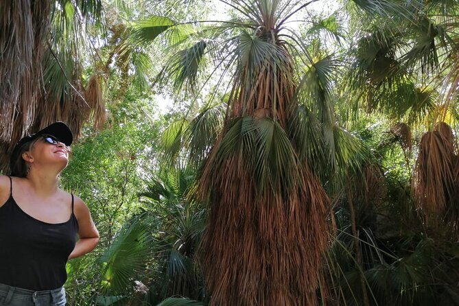 Hiking to Desert Palm Oases of San Carlos with a Biologist - The Itinerary: A Detailed Walkthrough