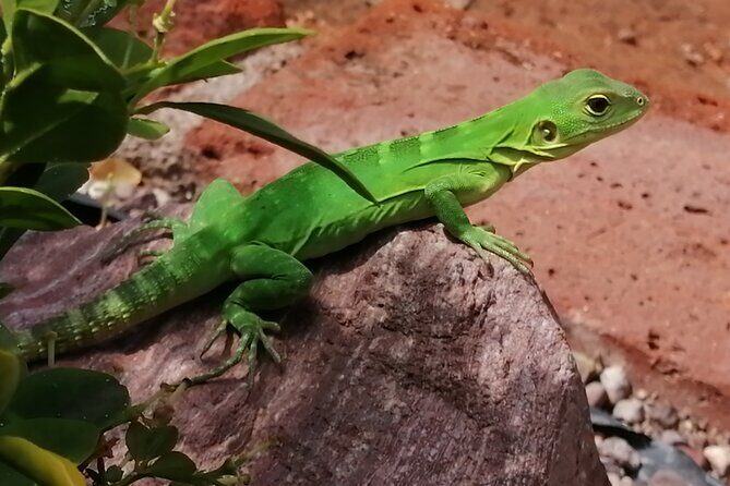 Hiking to Desert Palm Oases of San Carlos with a Biologist - Final Thoughts: Is This Tour for You?
