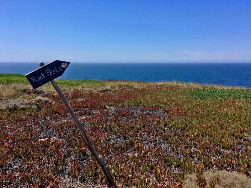 Hiking Tour Along the West Coastline - Why This Tour Is Worth It