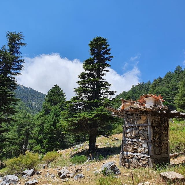 Hiking Tour At The Taurus Mountains of Alanya - FAQ