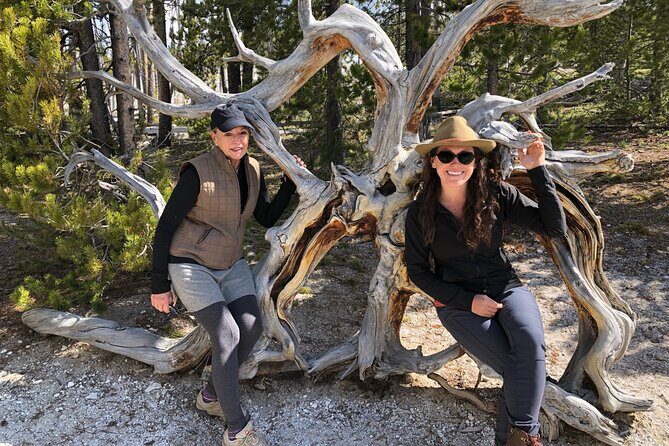 Hiking Tour: Hidden Gems | West Yellowstone | PRIVATE + Lunch - What to Expect: Day-by-Day Breakdown