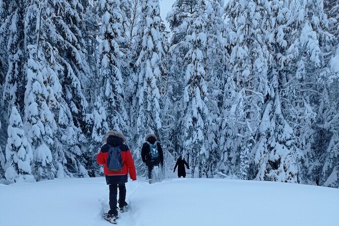 Hiking tour in Nuuksio National Park with meal and snacks - Exploring Nuuksio National Park: What You Can Expect