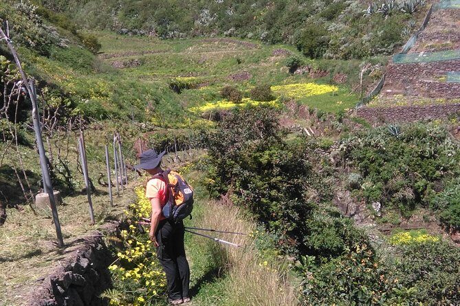 Hiking tour in the Anaga biosphere reserve in Tenerife - An Inside Look at the Tenerife Anaga Hiking Tour