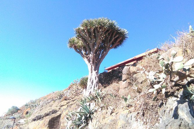 Hiking tour in the Anaga biosphere reserve in Tenerife - Final Thoughts