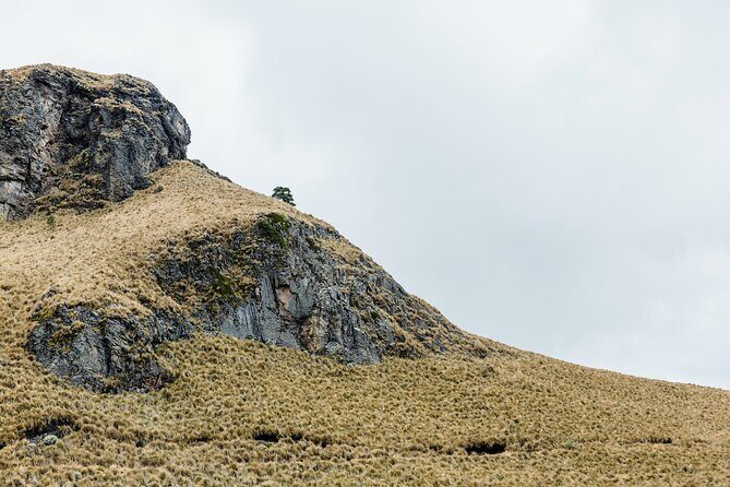 Hiking Tour on the Iztaccíhuatl Volcano from Puebla (private) - Pricing and Value
