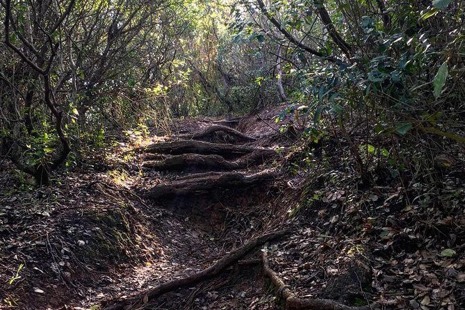 Hiking tour to the highest point of Arrábida mountain - Who Should Consider This Tour?