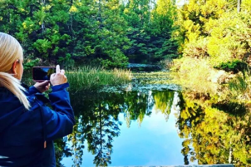 Hiking Trail Mistérios Negros | Terceira Island - In The Sum Up
