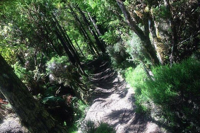 Hiking Trail Rocha Do Chambre | Terceira Island - Who Will Love This Experience?
