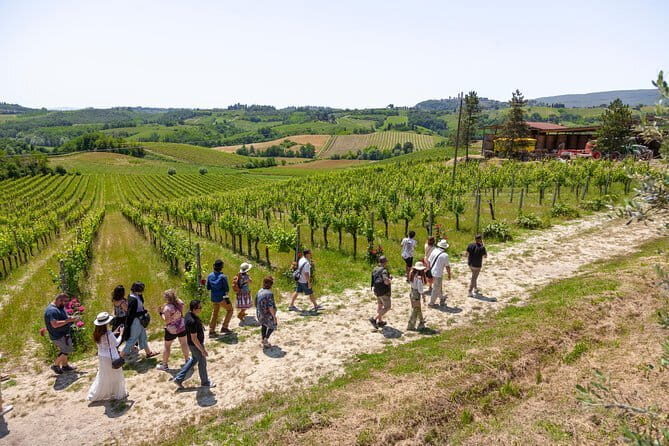 Hiking Tuscany & Chianti Wine - 3 Organic Wineries with lunch - FAQs