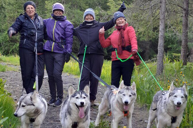 Hiking with Husky in Akureyri - Hiking with Huskies in Akureyri: An Authentic Northern Iceland Adventure