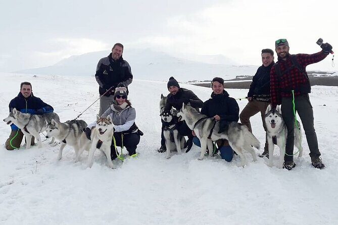 Hiking with Husky in Akureyri (private) - Who Should Consider This Tour?