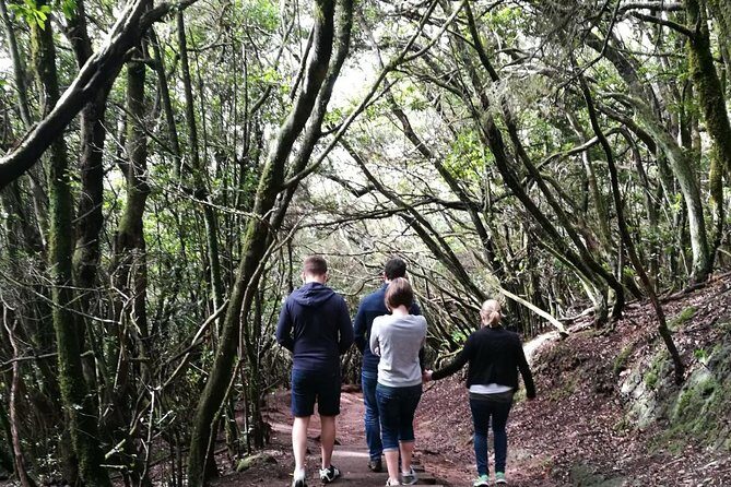 hikking tour in Anaga - Exploring Tenerife’s Anaga Mountains: A Guided Hiking Tour Review