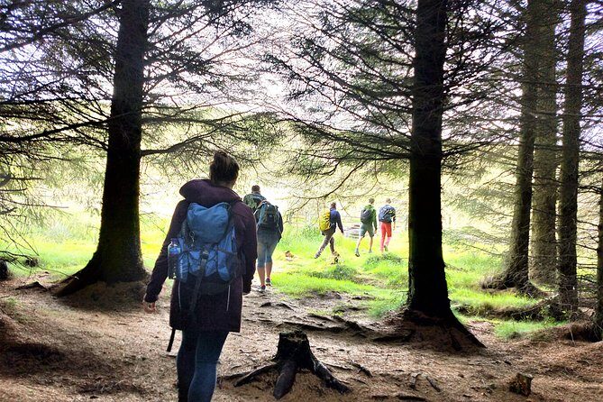 Hill & Nature Hike - Discover Real Edinburgh With a Local Expert - Who Will Love This Tour?