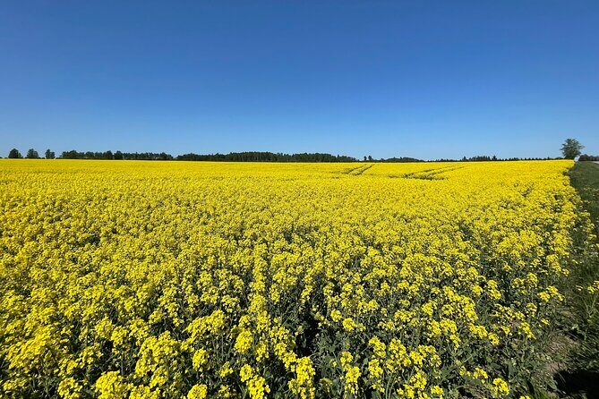 Hill of Crosses and Jelgava Gems Tour - 2 countries in 1 day - Exploring the Hill of Crosses and Jelgava Gems Tour — Two Countries in One Day